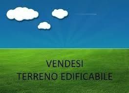 terreno edificabile in vendita a ceregnano