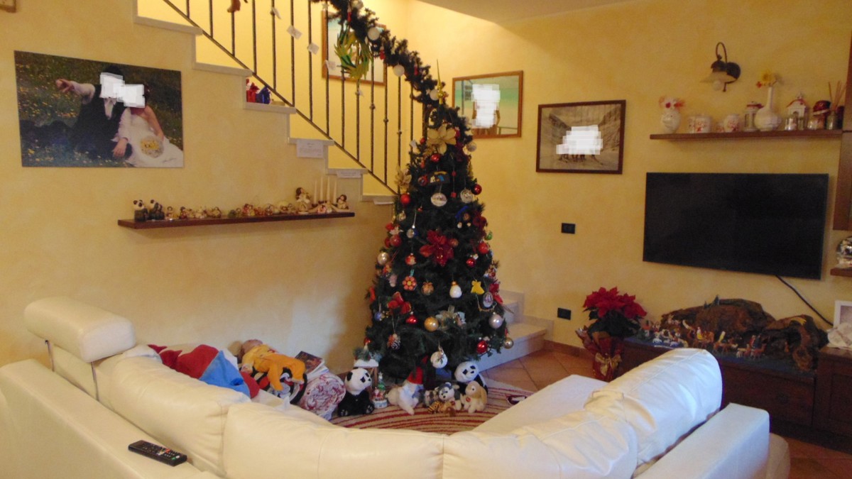 casa indipendente in vendita a villadose
