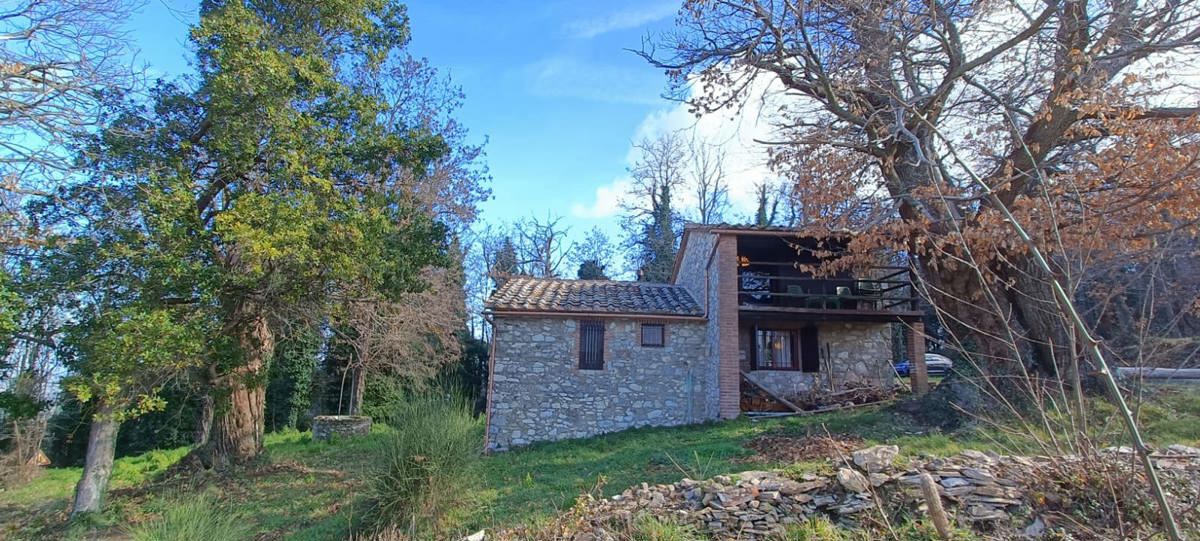 appartamento in vendita a casole d'elsa