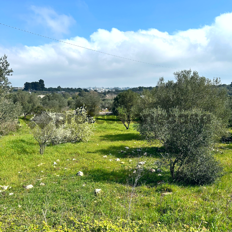 villa in vendita a ceglie messapica